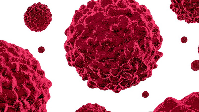 Charles River Buys Immunology Player Kws Biotest For 20m Fierce Biotech